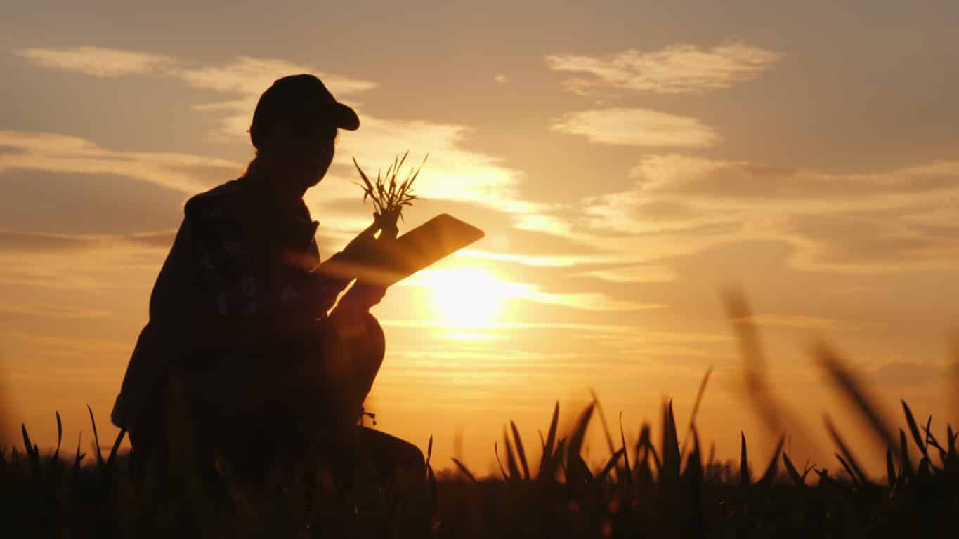 What Does OMRI Certification Mean Importance In Organic Farming