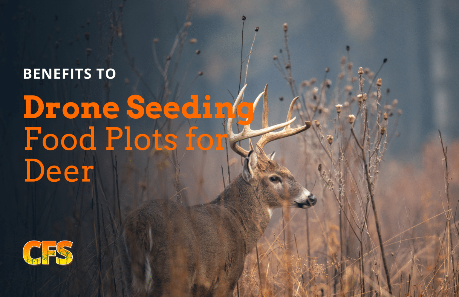 Blog - Crop Fertility Services