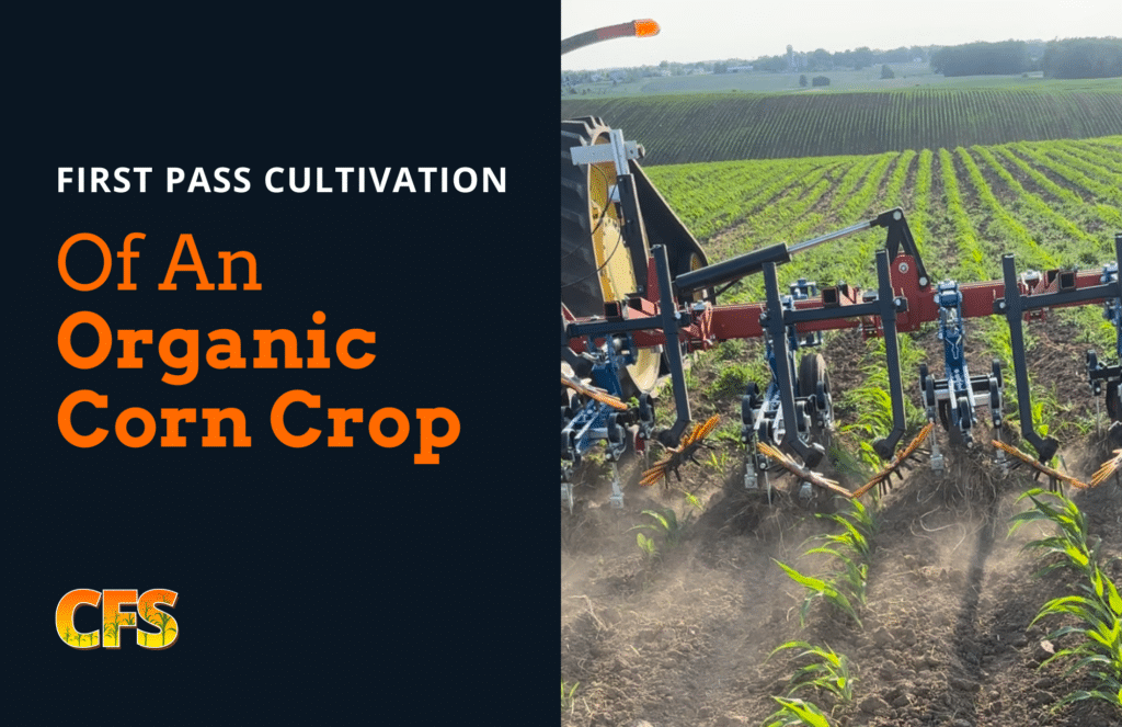 Best Fertilizer for Organic Corn Farming | OMRI Certified